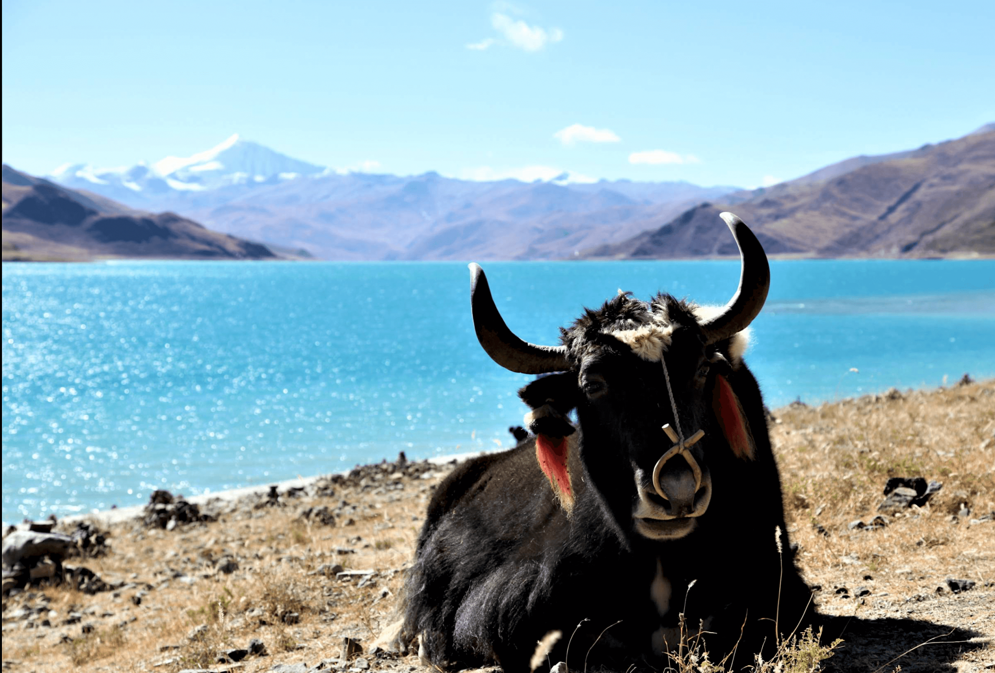 Himaláje – nejkrásnější hory světa | CK SEN